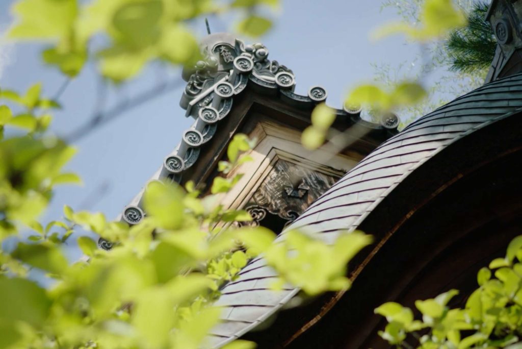 Reflection [New Creation]